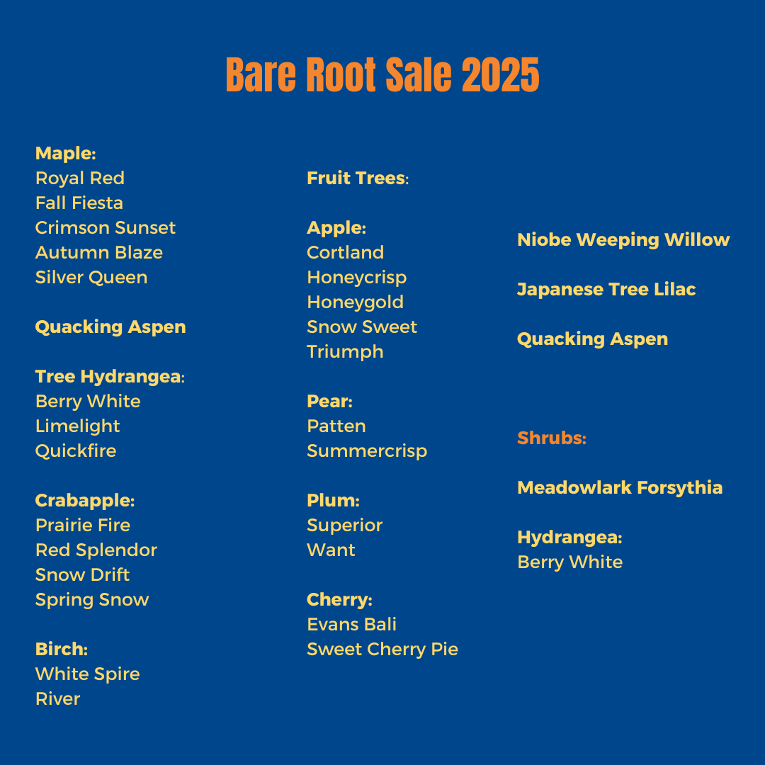 Bare-Root Plants: A Guide to Understanding and Caring for Them ...