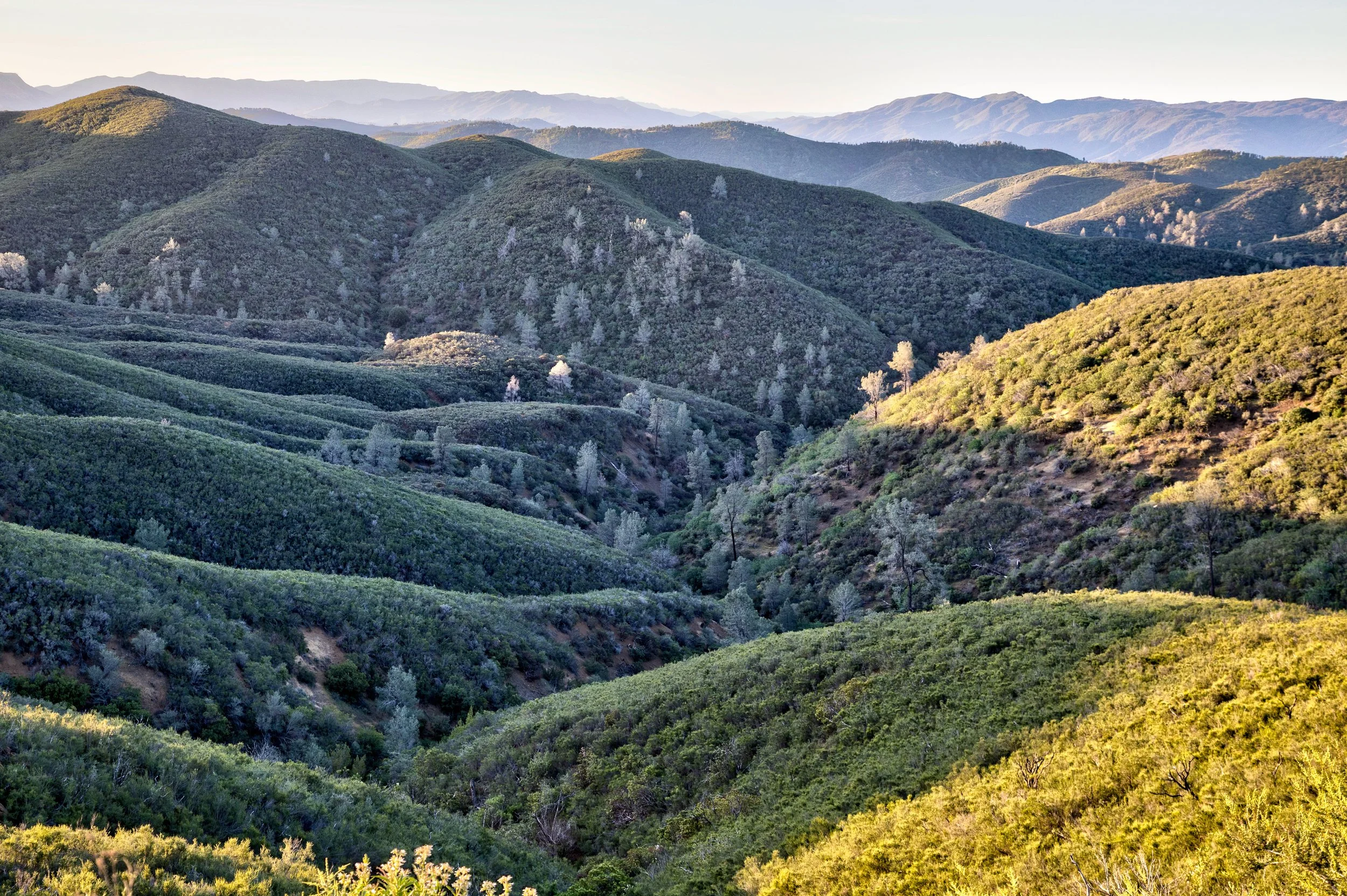 Berryessa National Monument Berryessa Snow Mountain National Monument