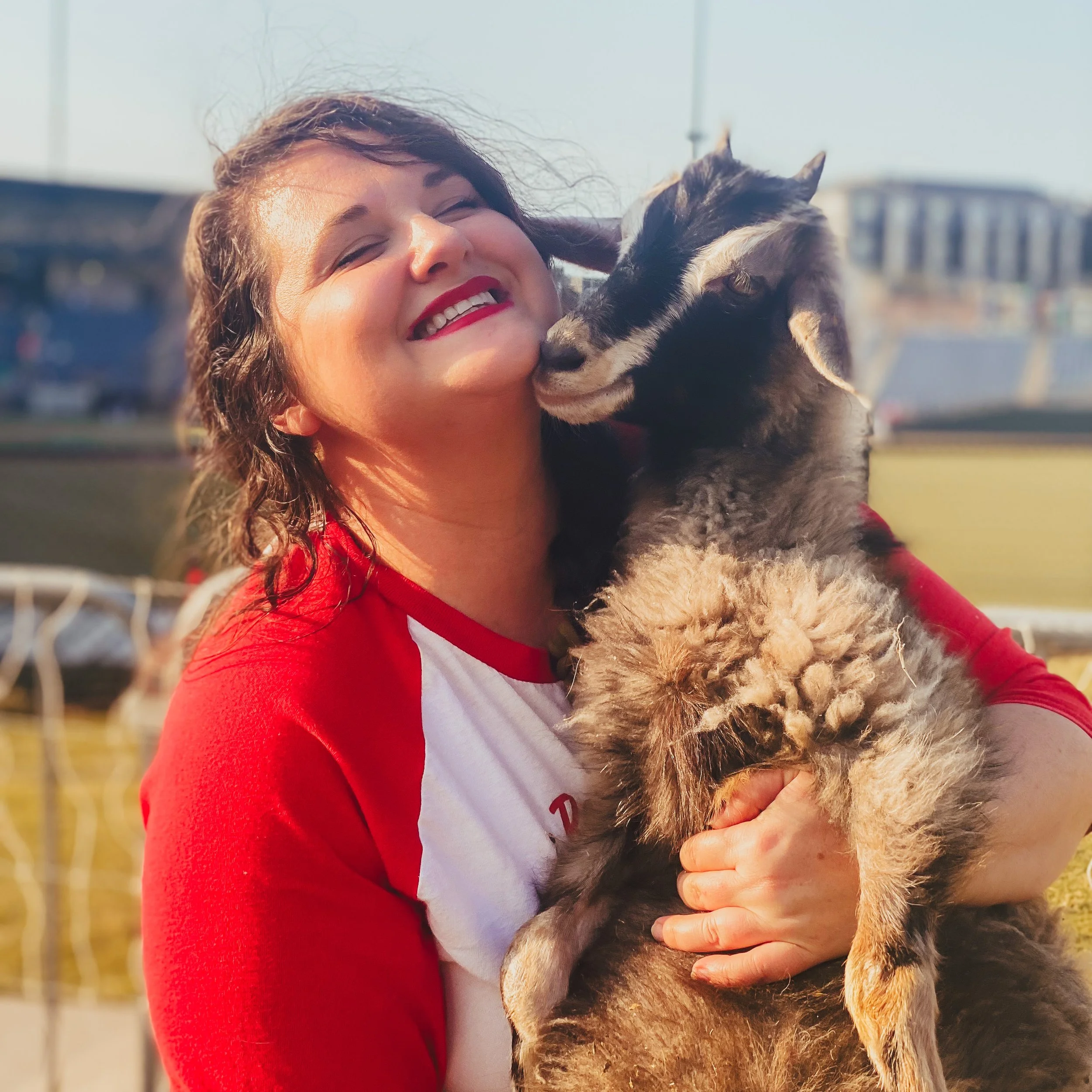 All About Red Wagon Goats — Red Wagon Goats