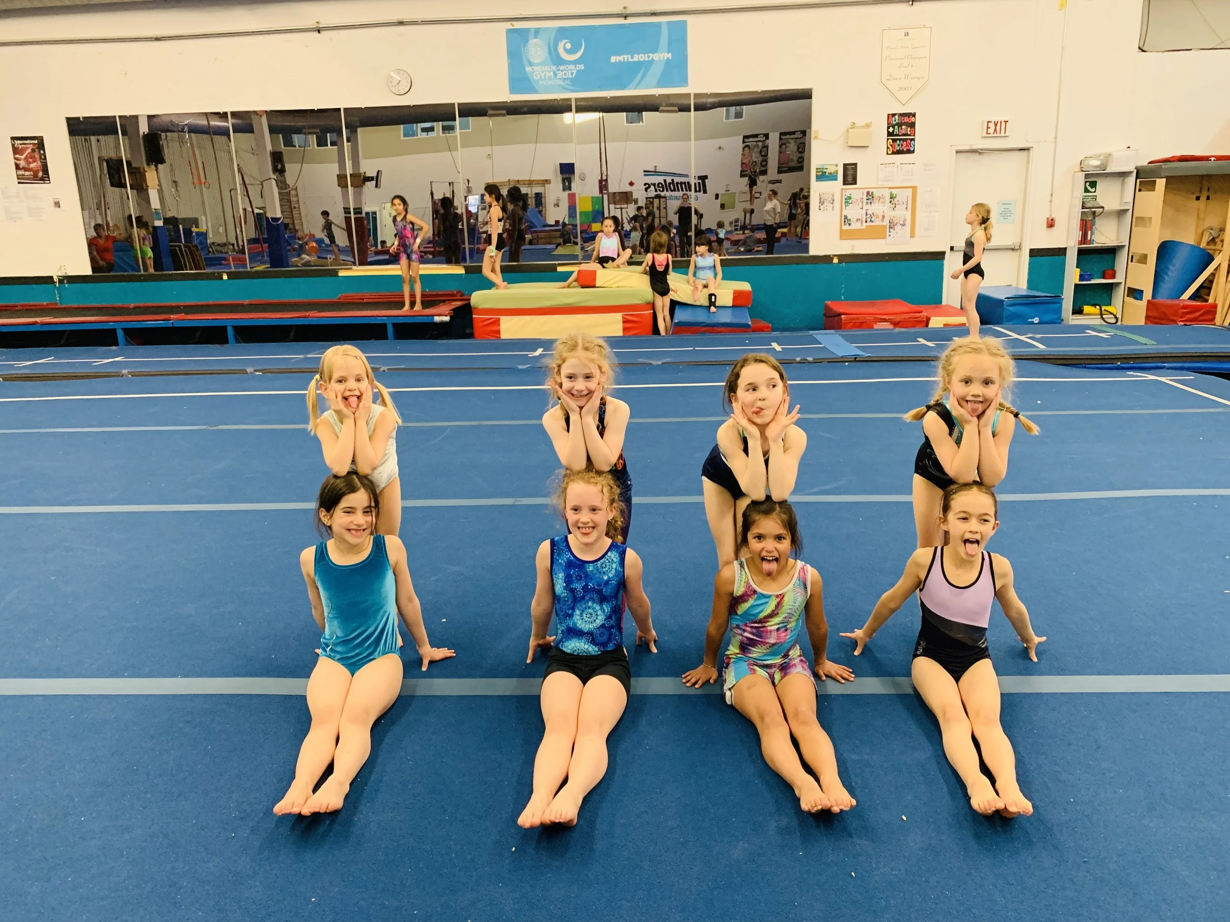 6+ Recreational Gymnastics — Tumblers Gymnastics Centre