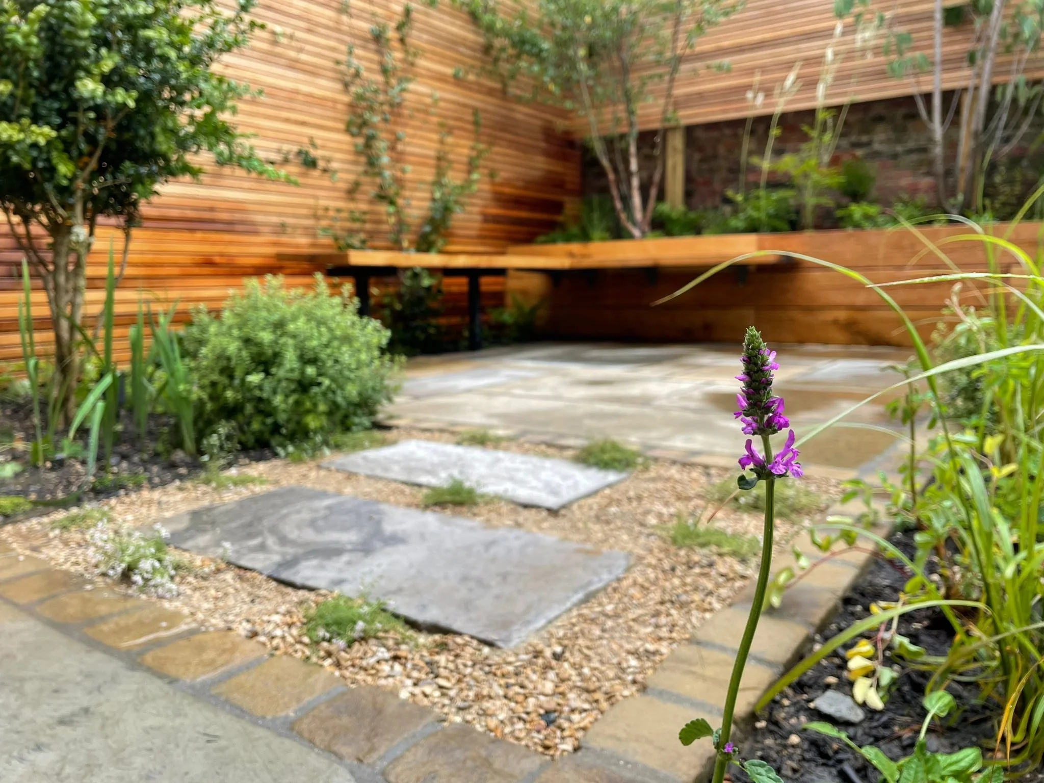 Jake Sutcliffe Studio - Landscape and Garden Design