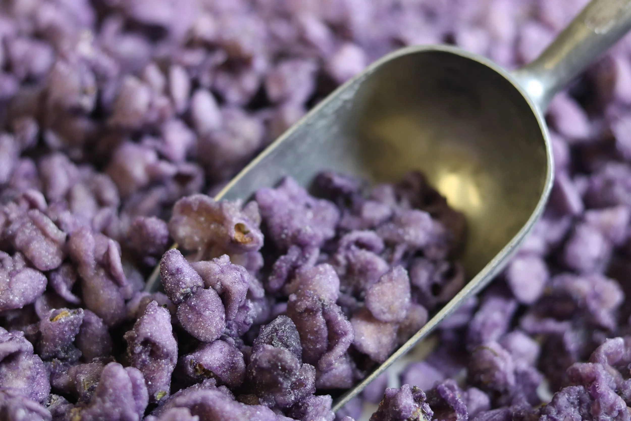 Unearthing the Violet: Toulouse’s Authentic and Timeless Souvenir ...