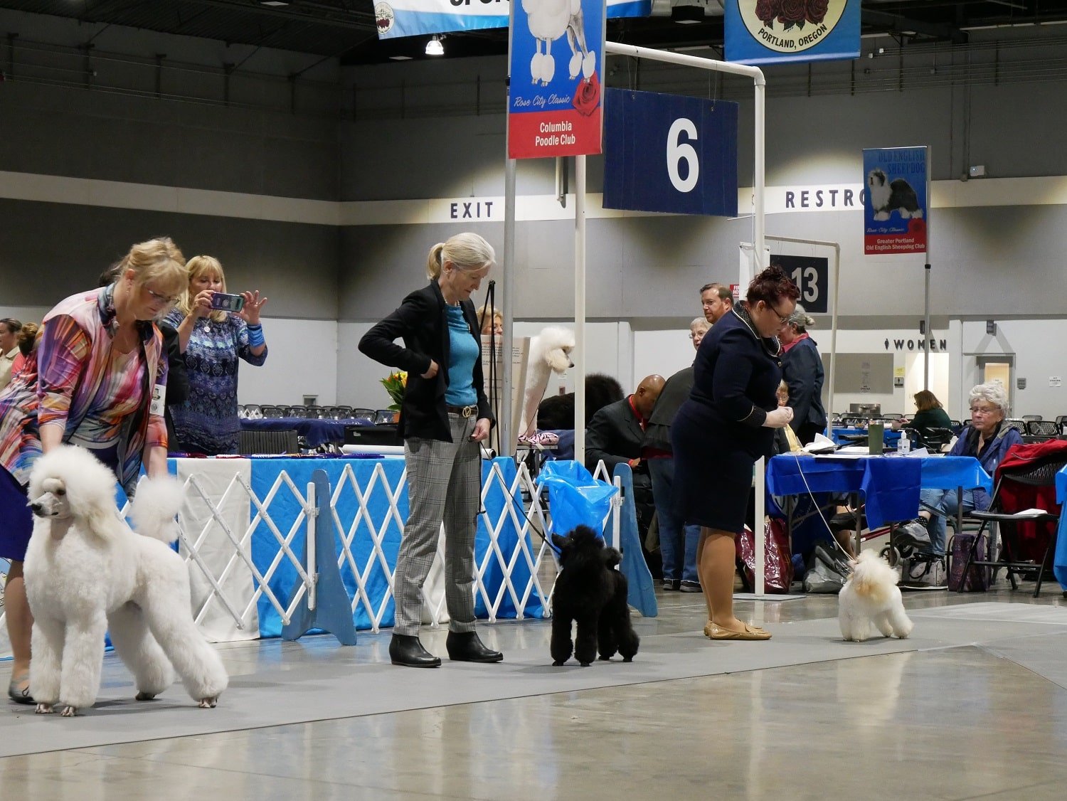 Columbia Poodle Club