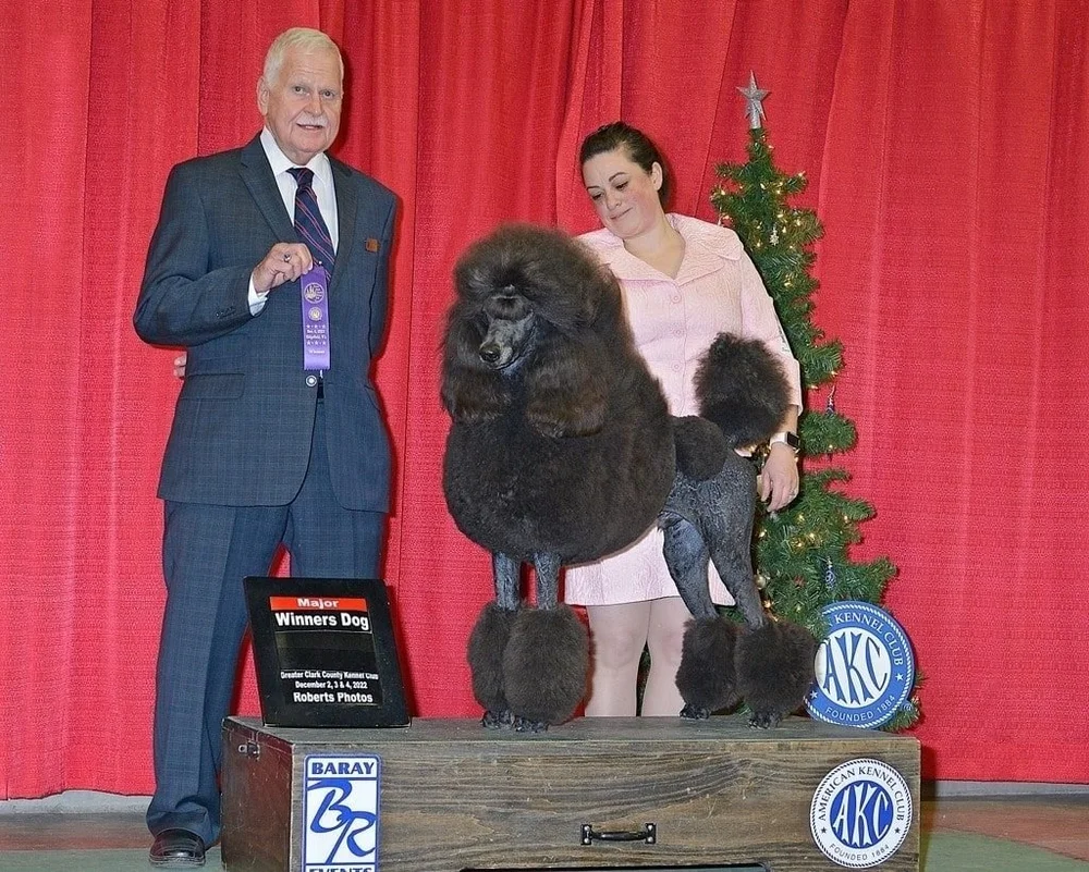 Poodle Breeders — Columbia Poodle Club