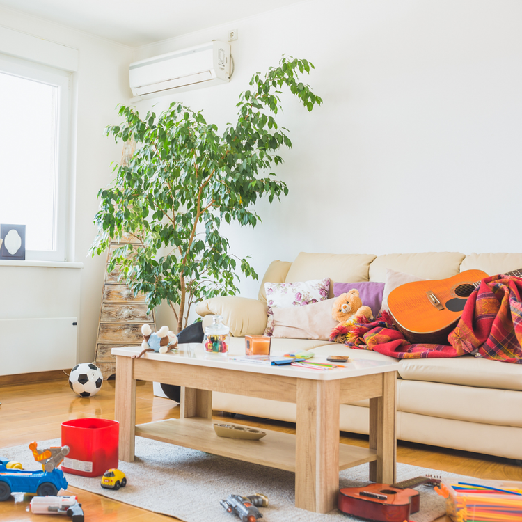 The "Normal House" Trend and What It Means for Home Sellers — Rachel ...