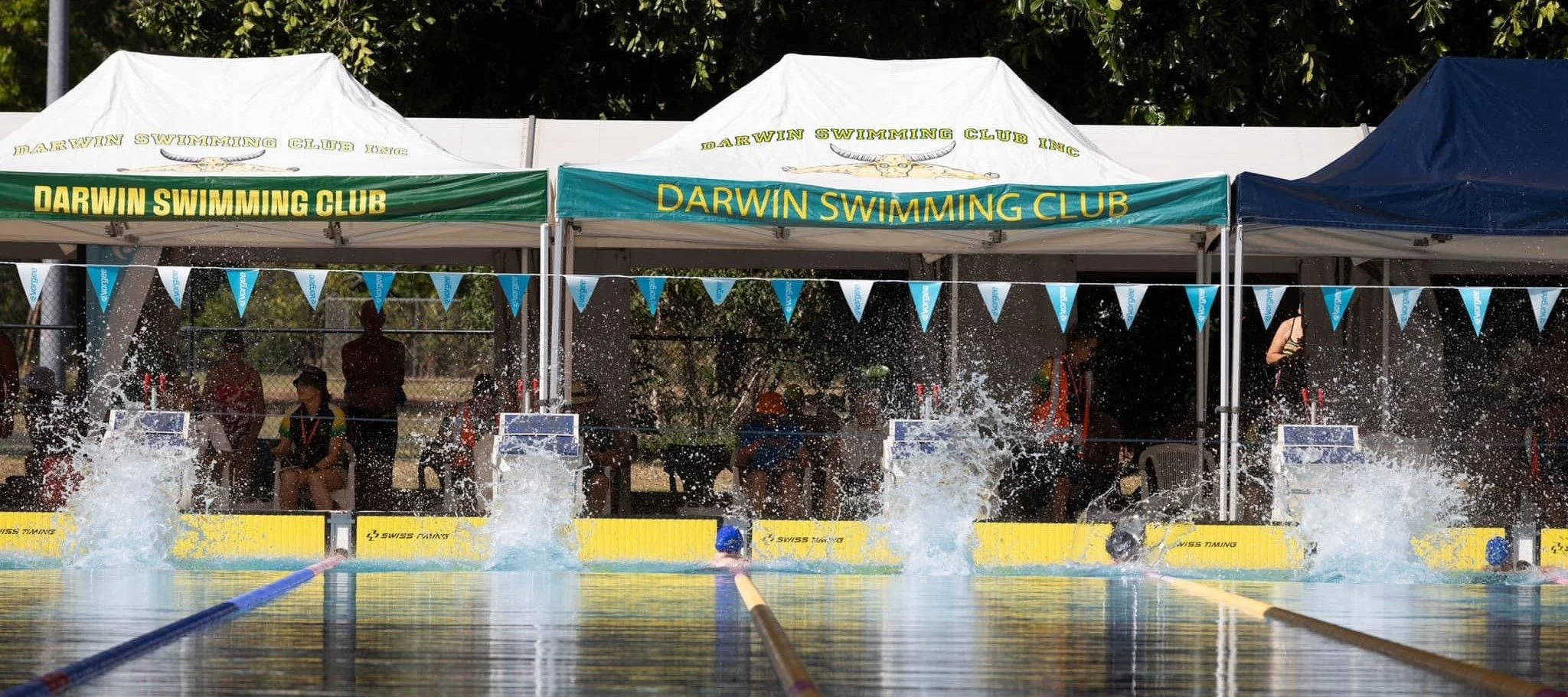 Dazzling Darwin delivers delights at the 2024 MSA Nationals ...