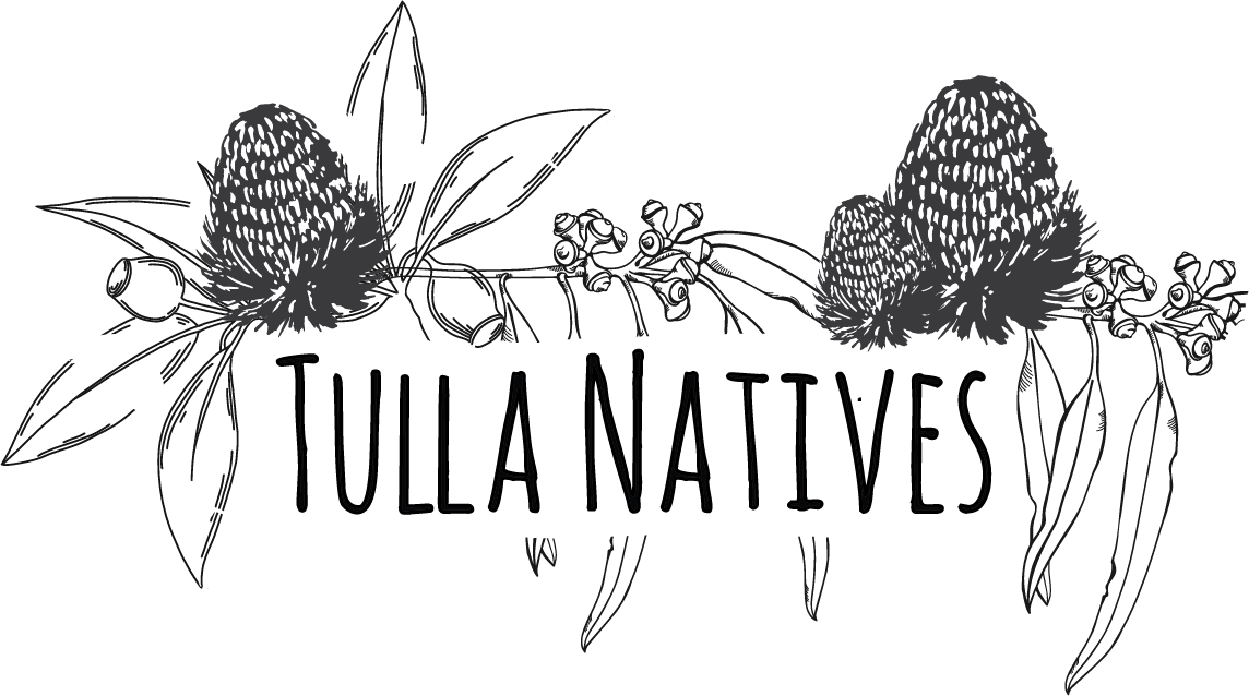 Contact Marc and Stacey Brooke — Tulla Natives - Wholesale Native Plant ...