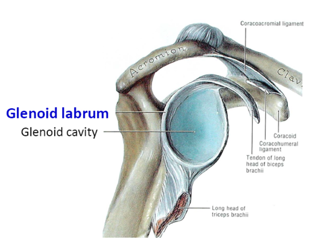 Labral Tears — Khalid Mohammed Orthopaedic Surgeon