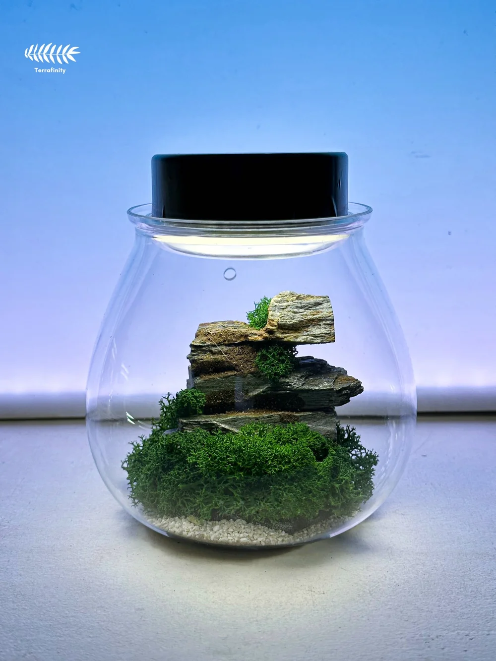 Miniscape — Terrafinity.ph