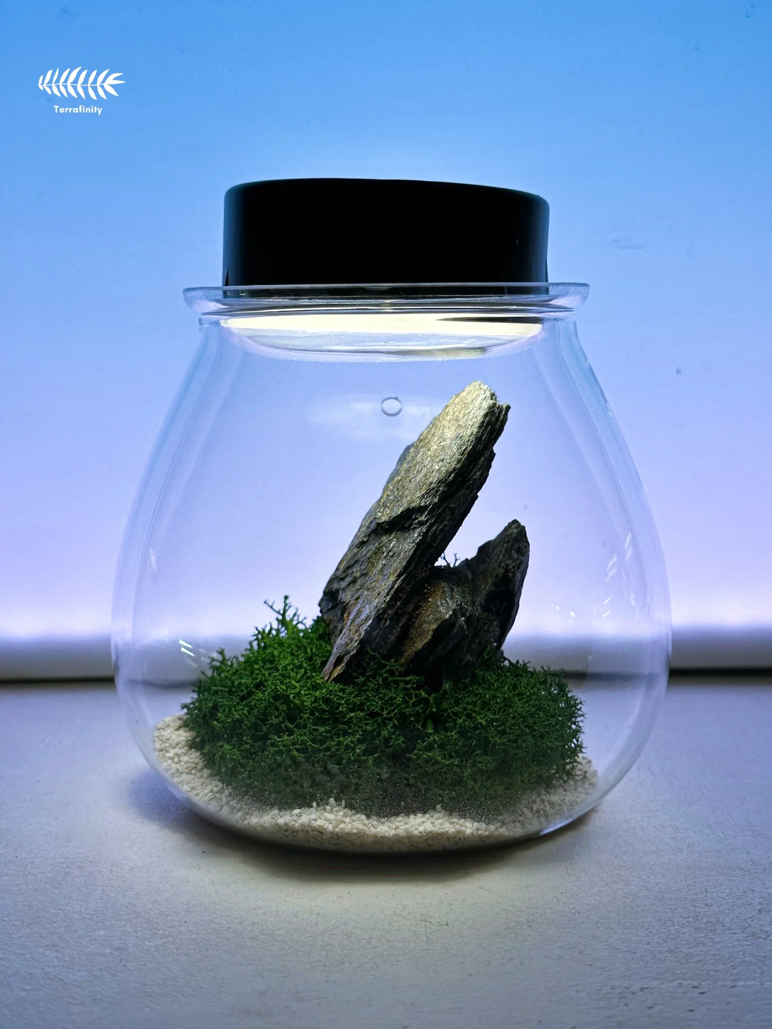 Miniscape — Terrafinity.ph