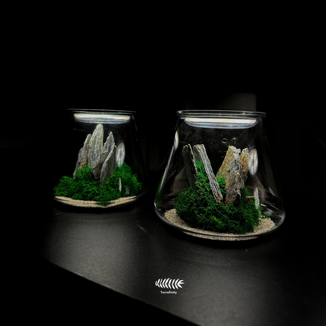 Miniscape — Terrafinity.ph