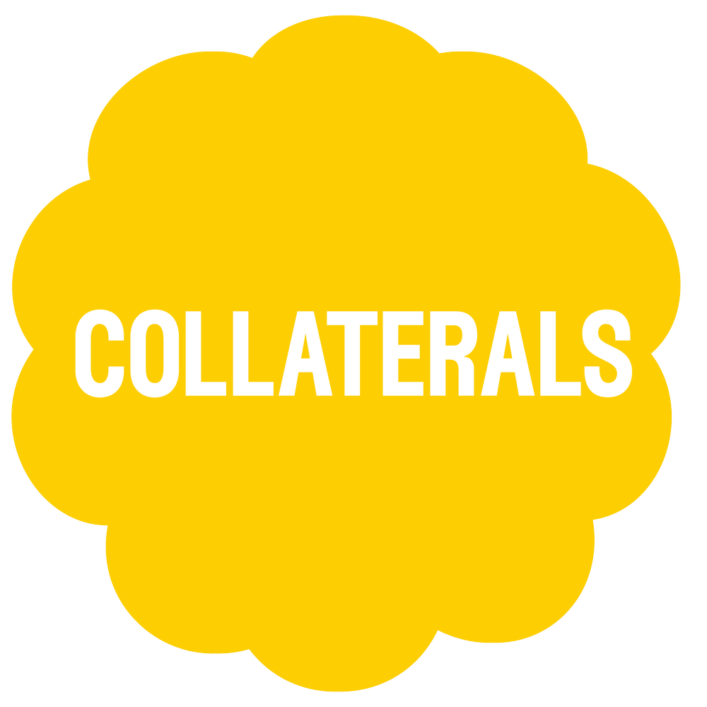 Bold, Colorful Branding by Elena David Studio