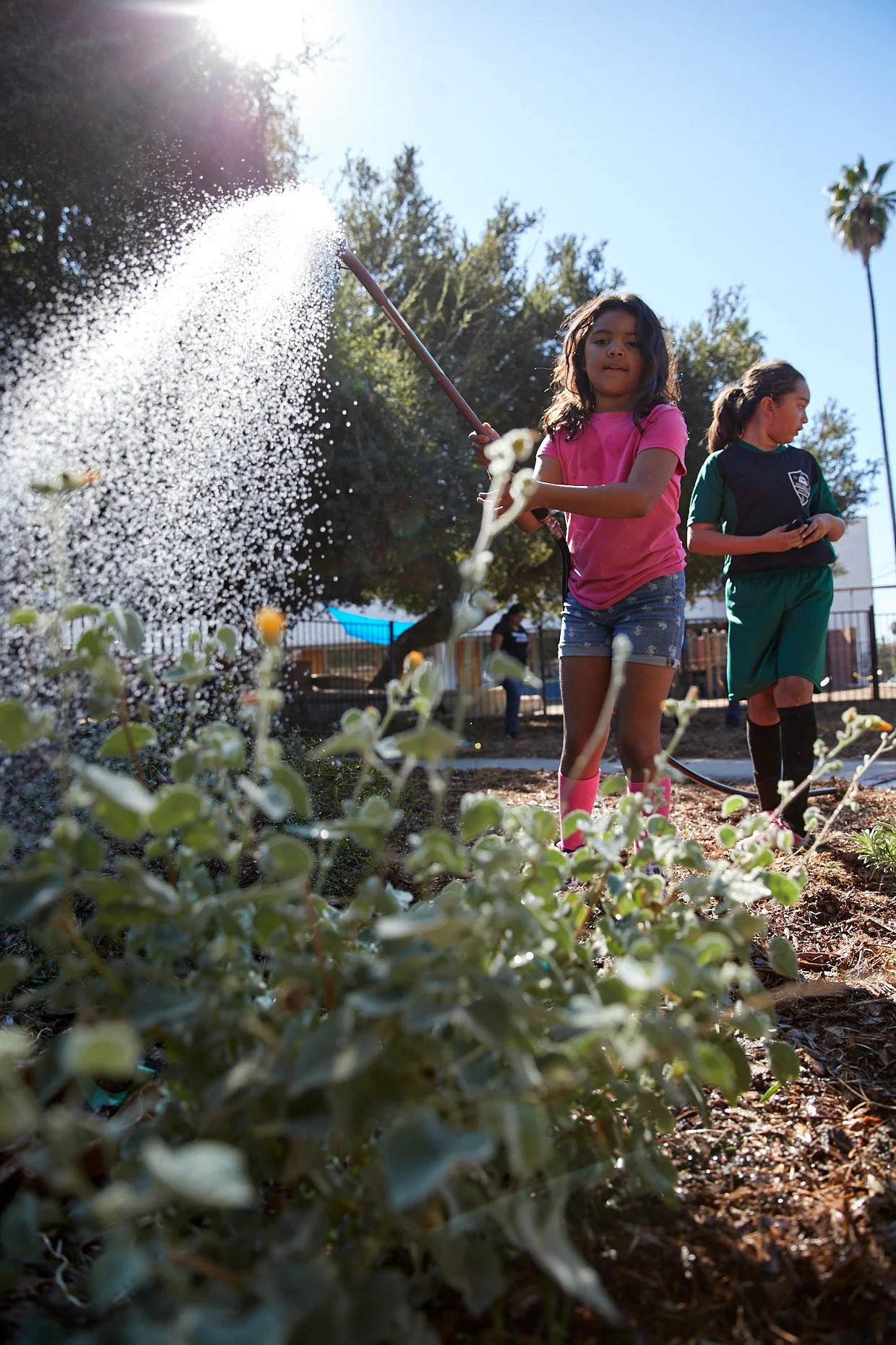 Wild Yards Project
