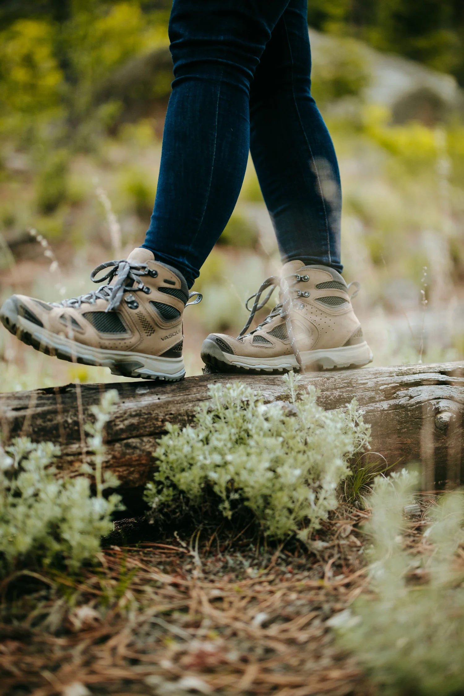 Trauma Informed Resources — James Trail | Trauma-informed resources for ...