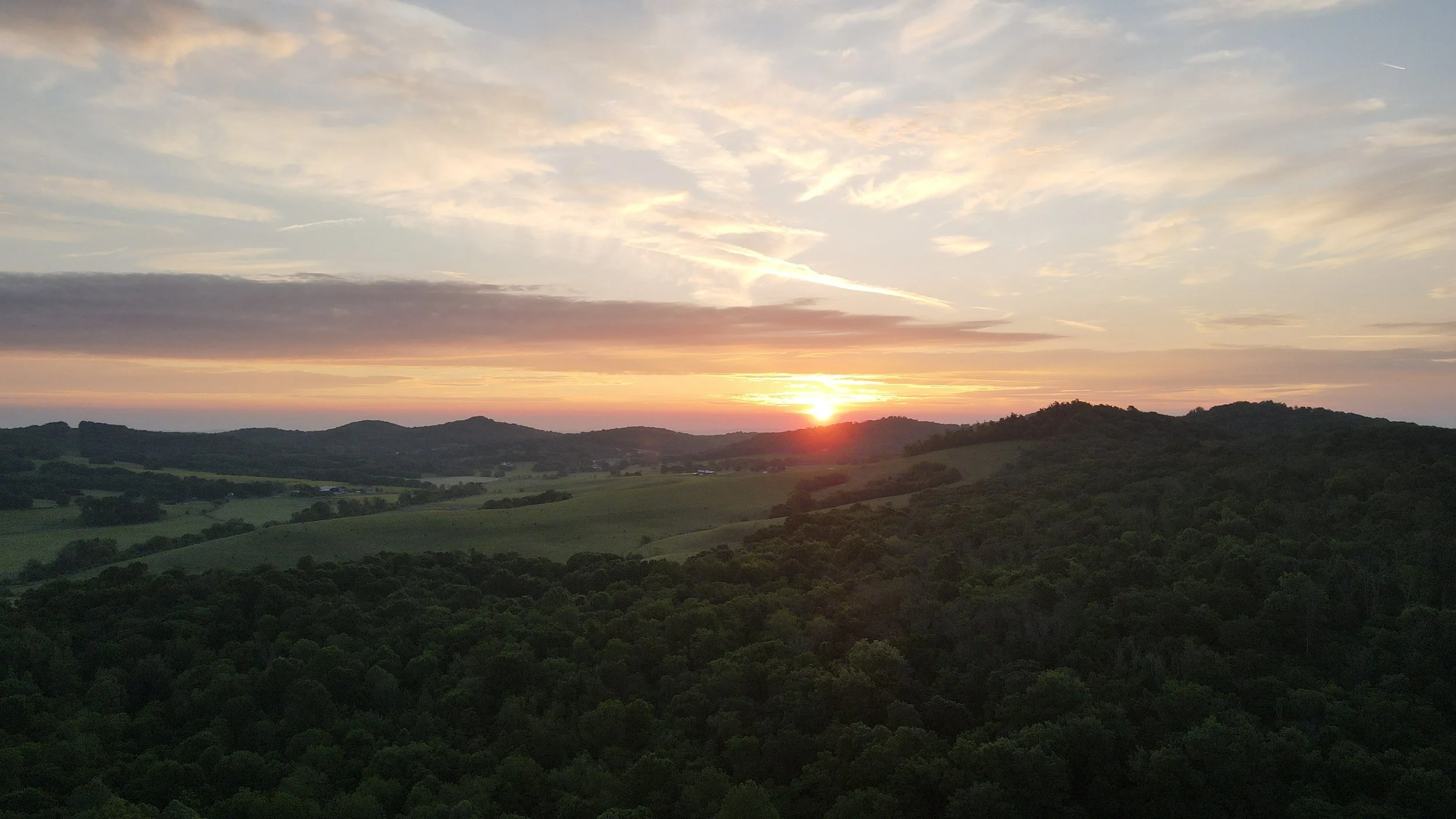 Arrington Woods — HANS LOREI