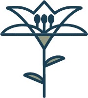 Our Yurts — Flora Bora