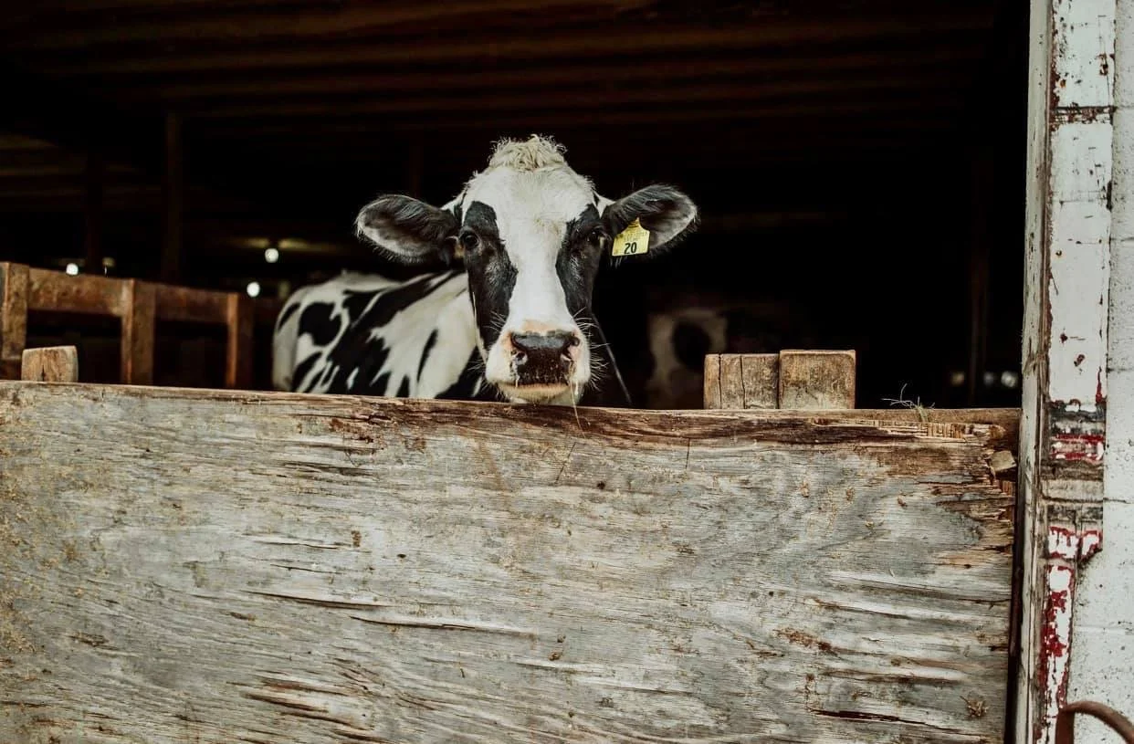 About | Family Owned & Operated — Raterink Family Farm