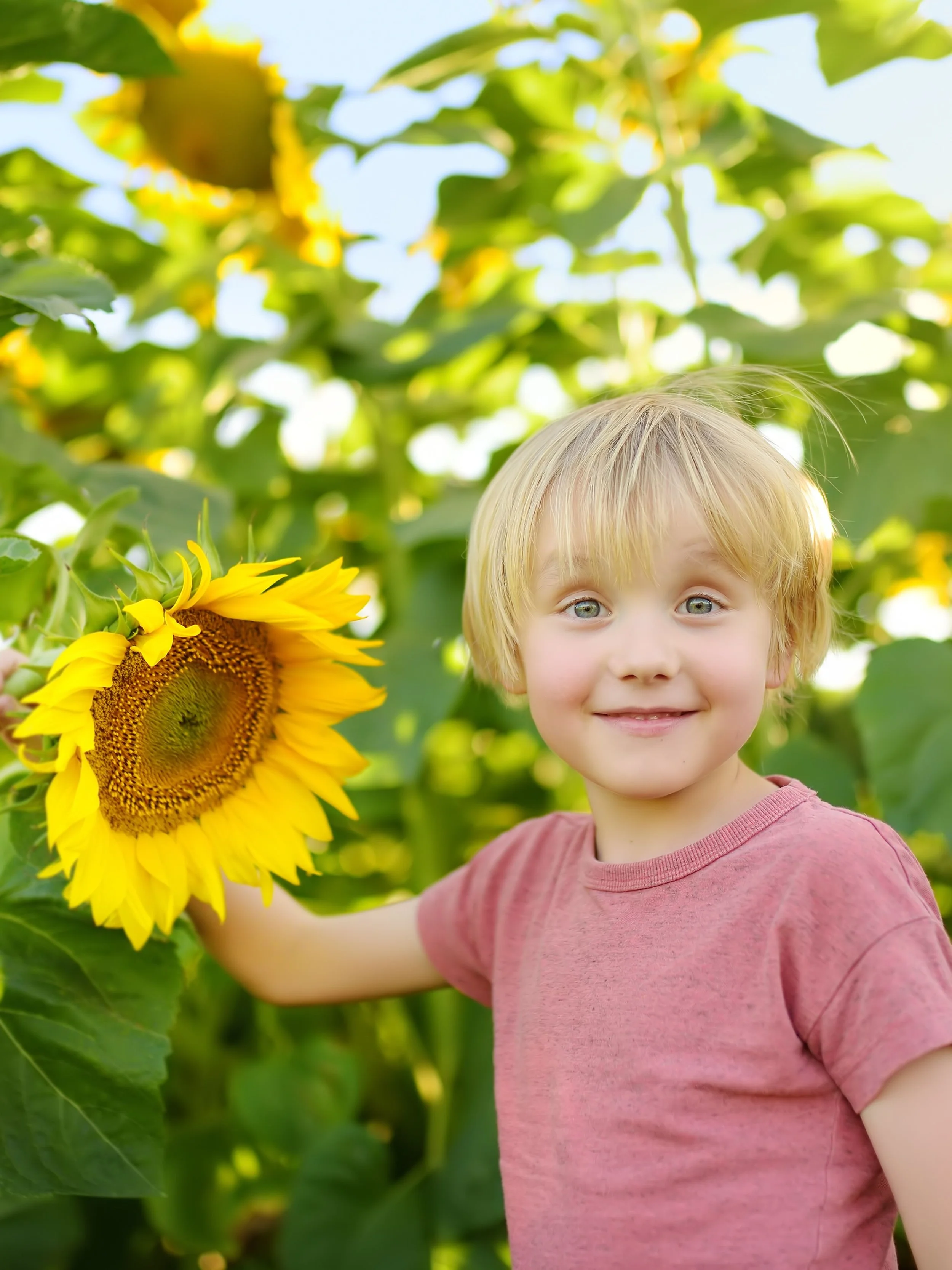 Easy, Family-Friendly Garden Projects Every Kid Will Love — Plant Depot