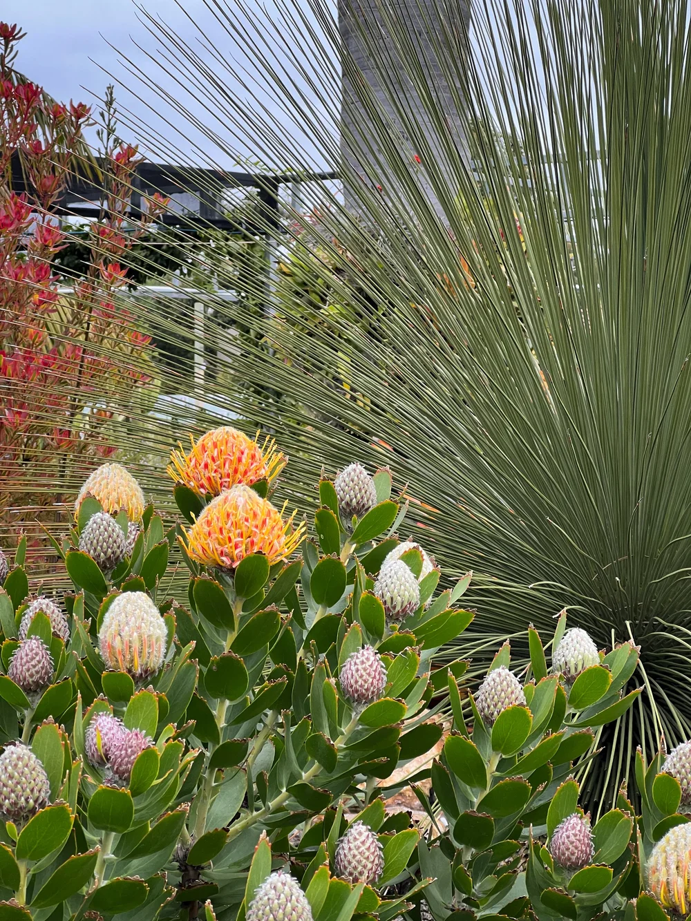 The Nursery — Plant Depot