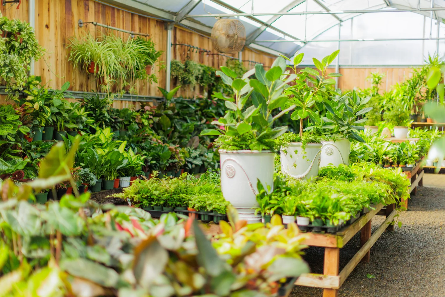 The Nursery — Plant Depot