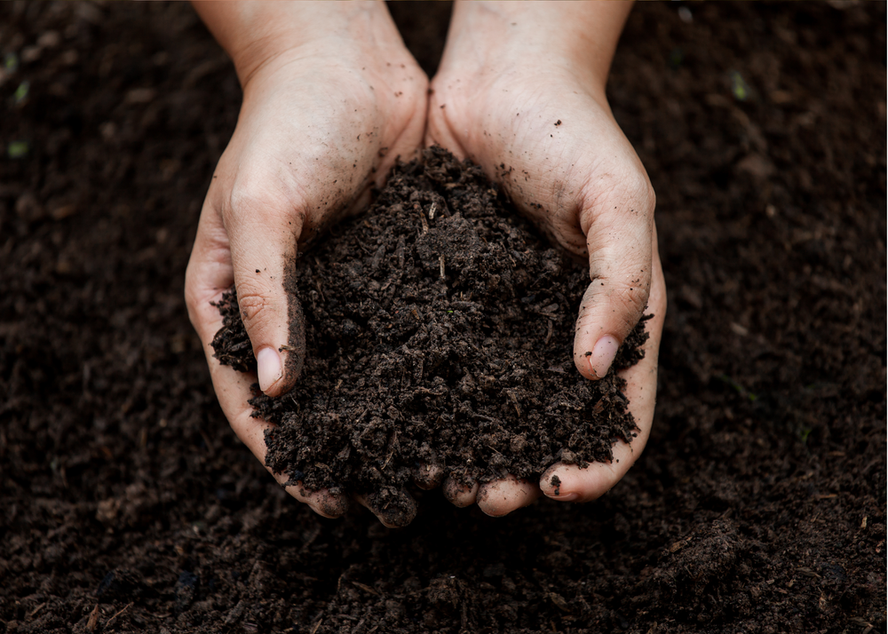 Soil Selection Guide — Plant Depot