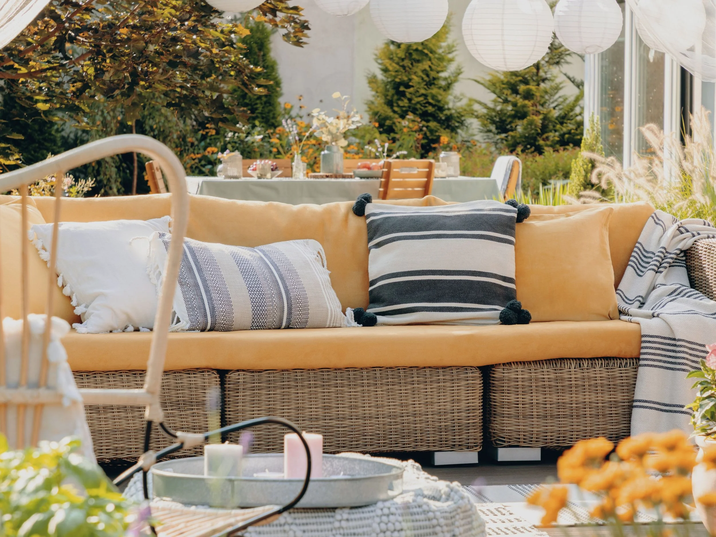 Create a Modern Oasis in Your California Backyard — Plant Depot