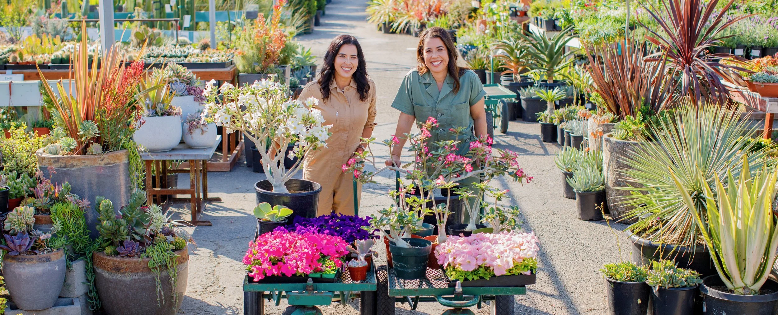 The Nursery — Plant Depot
