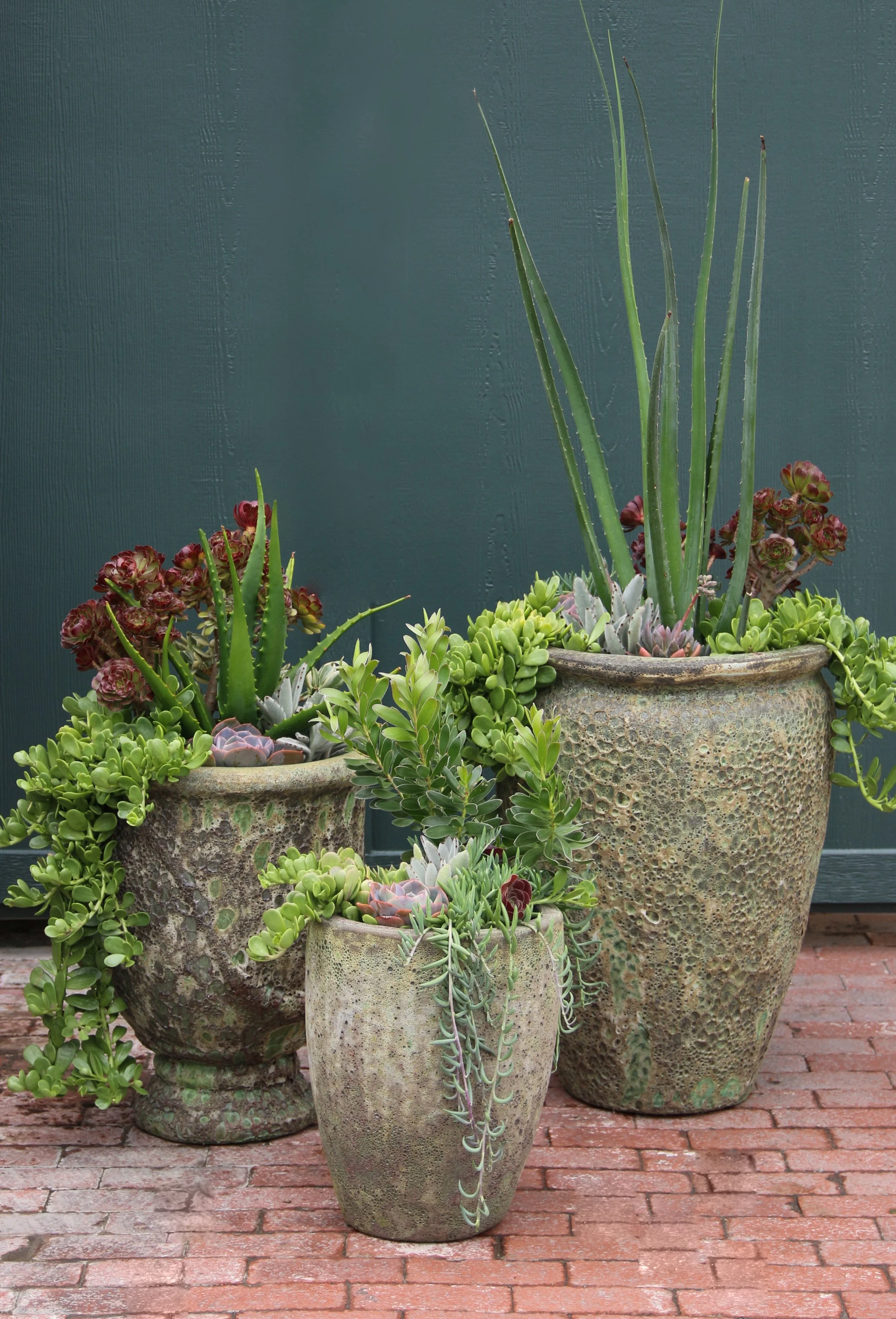 The Nursery — Plant Depot