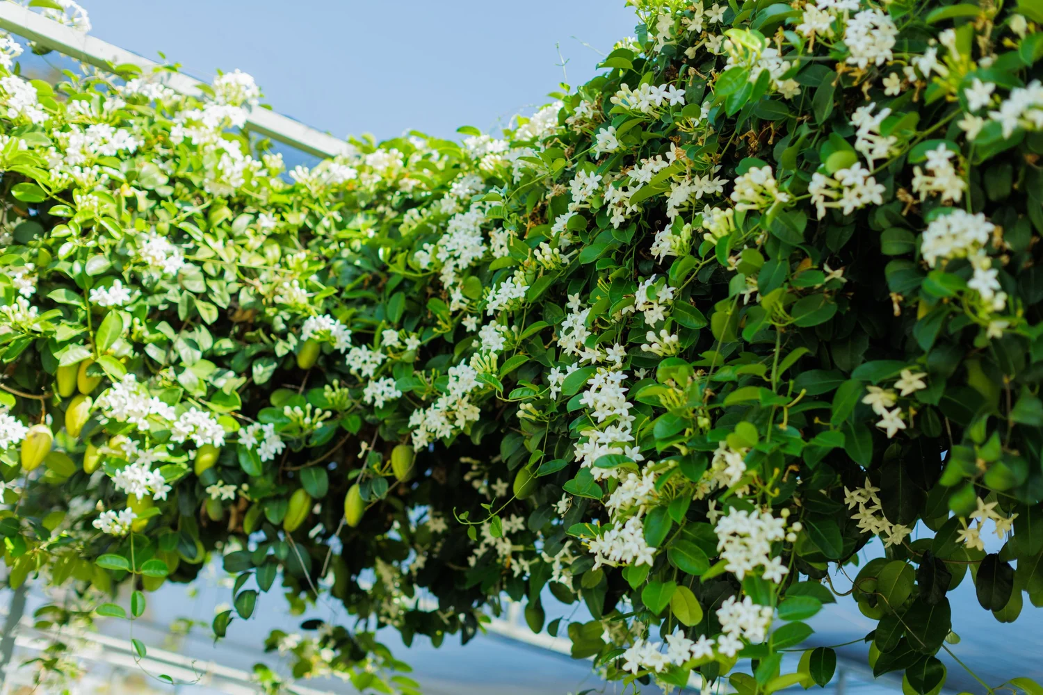 Shop — Plant Depot