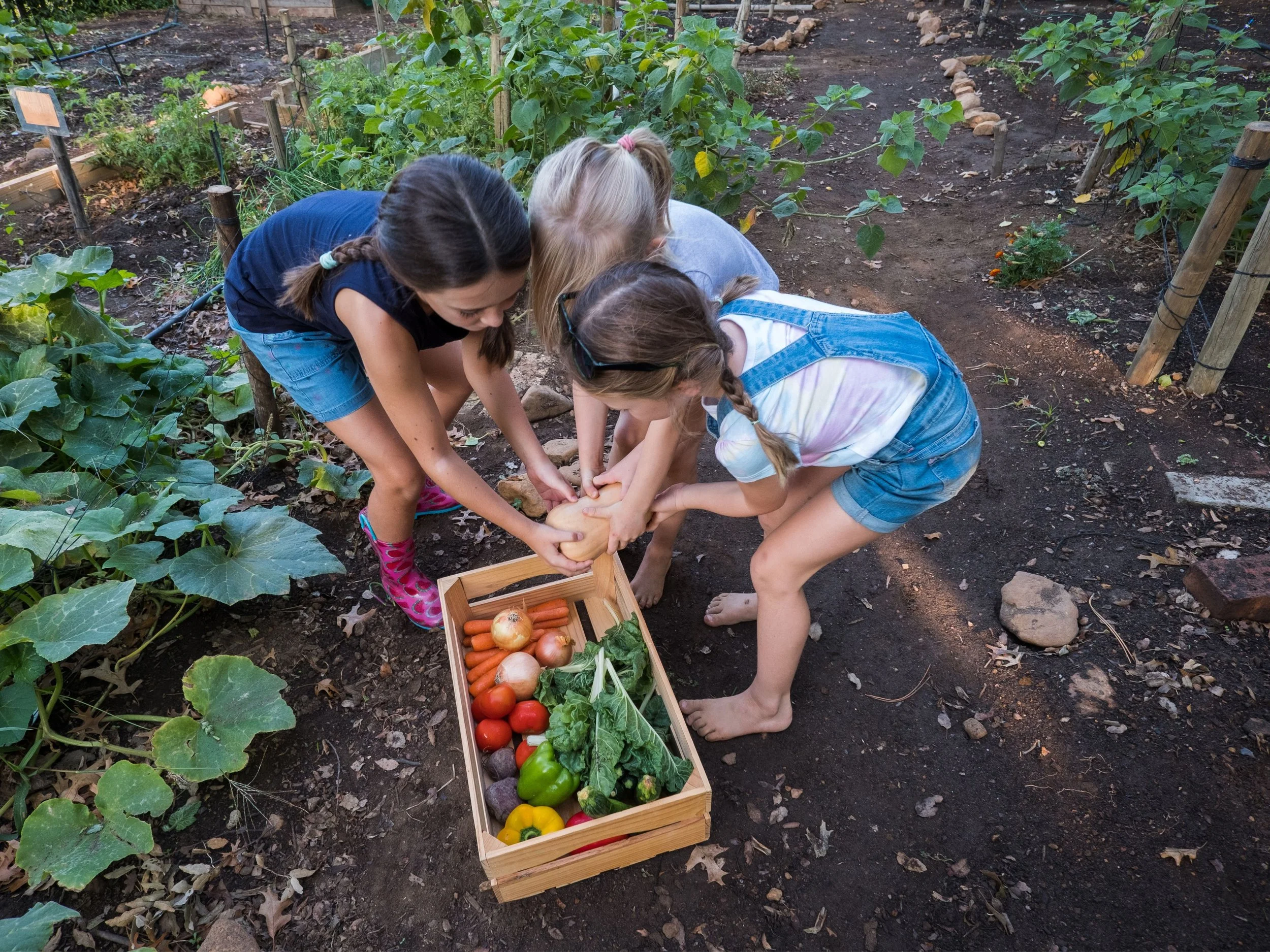 Easy, Family-Friendly Garden Projects Every Kid Will Love — Plant Depot