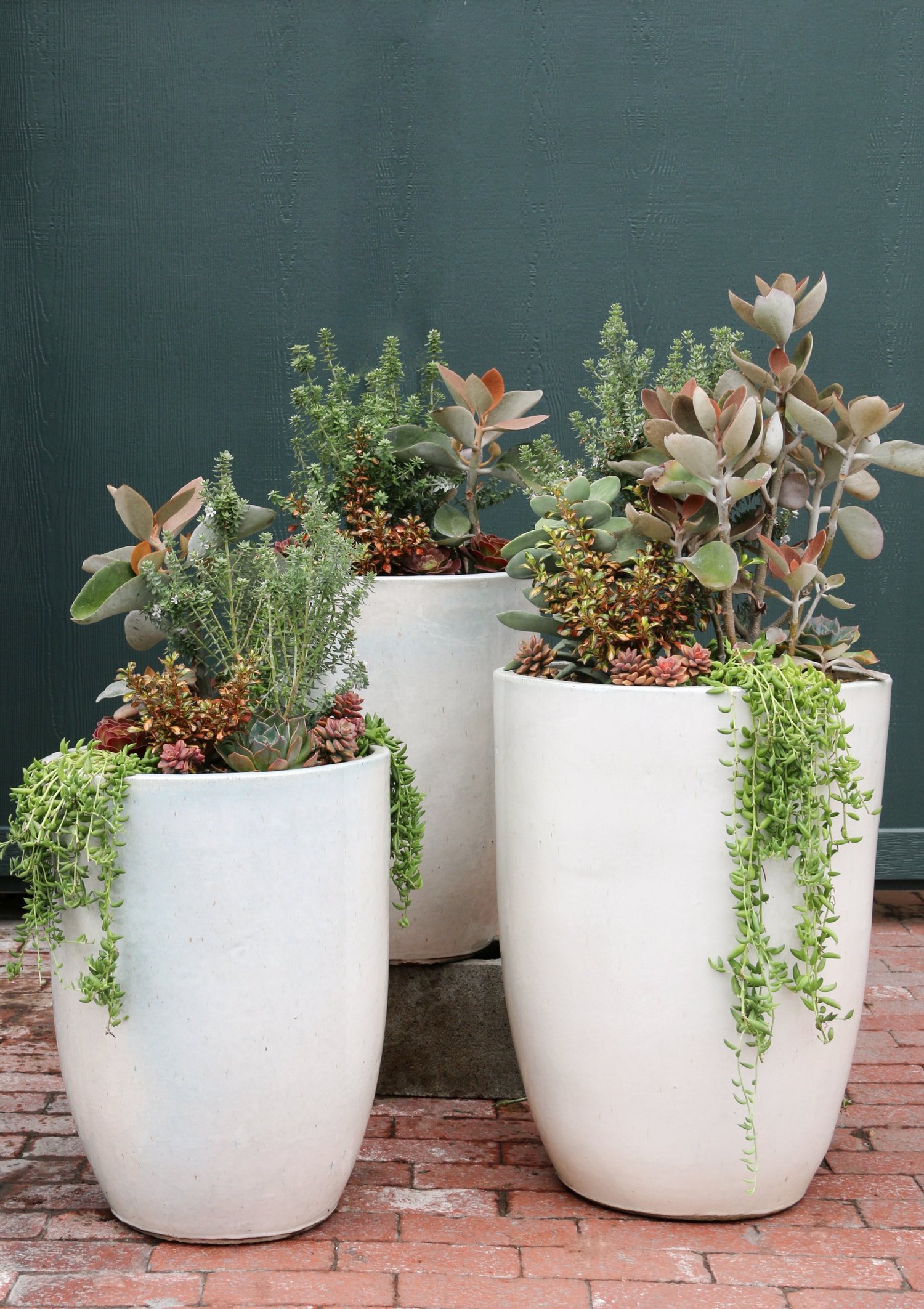 The Nursery — Plant Depot