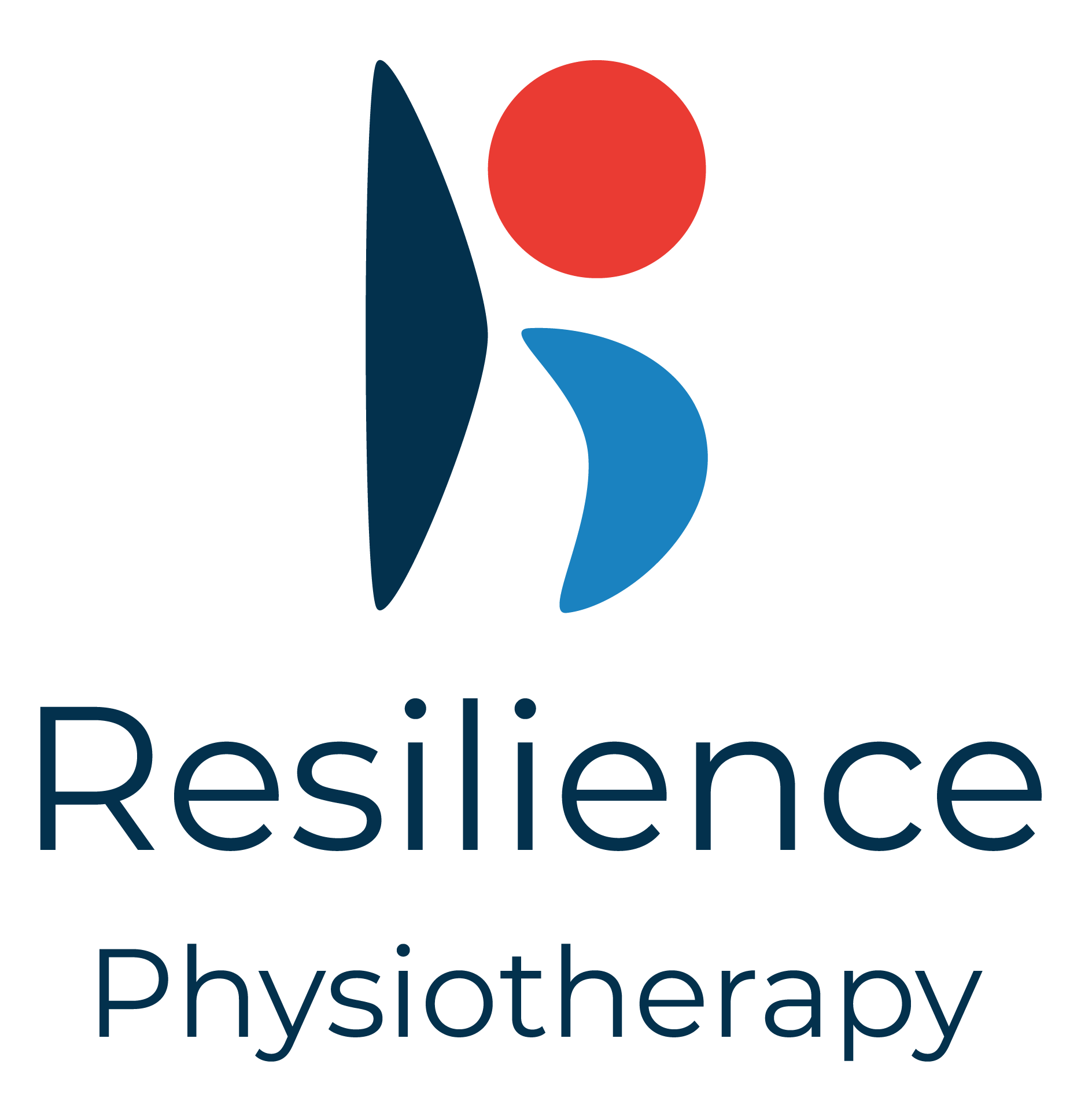 Book Resilience Physiotherapy Book Resilience Physiotherapy