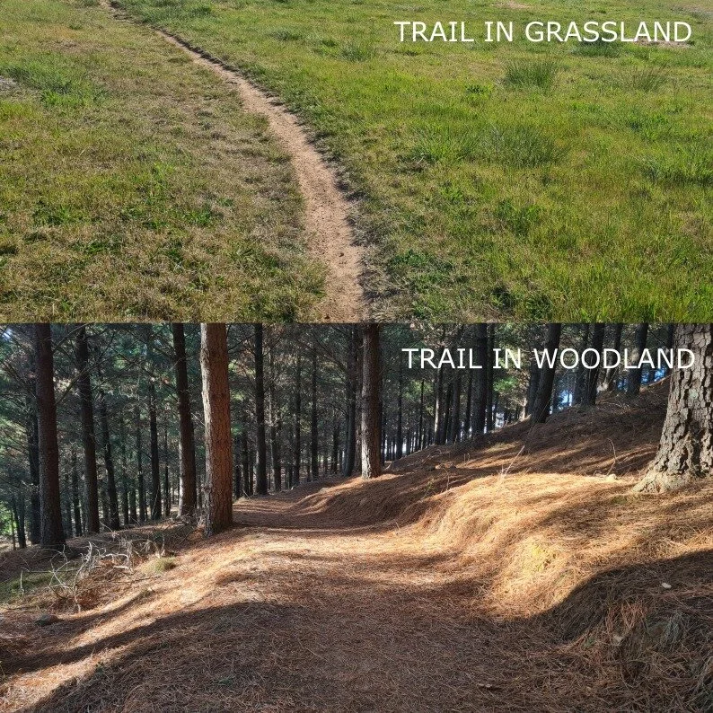 Advanced Trail Design