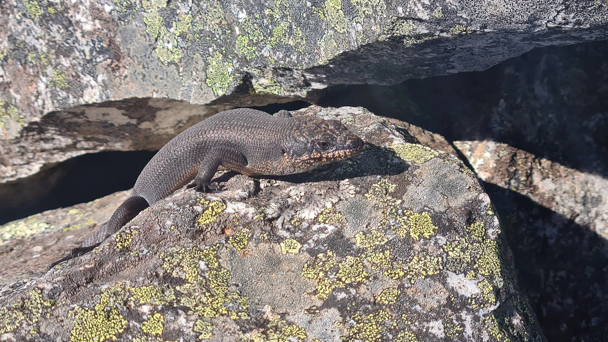 Advanced Trail Design