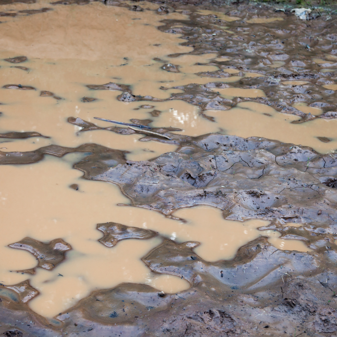 Unlock COLOR — Josie Lewis