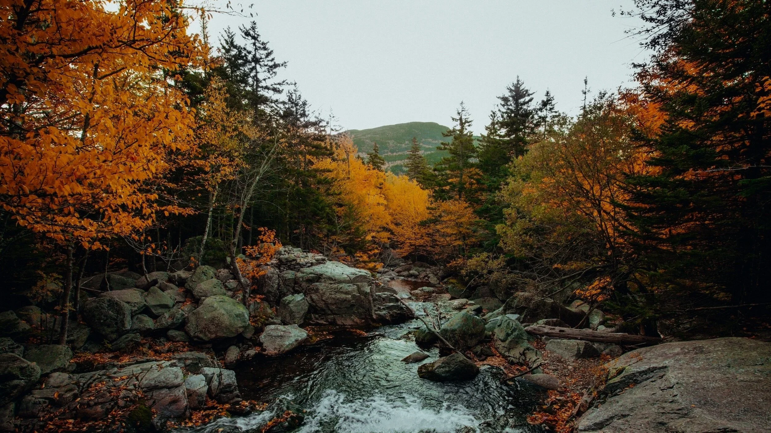 12 Must-See Fall Foliage Spots in New England