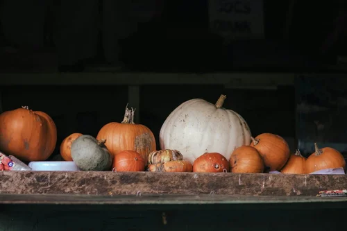 12 Must-See Fall Foliage Spots in New England