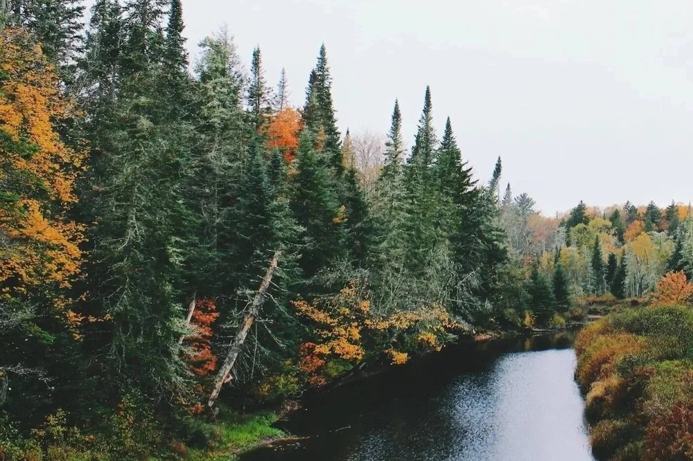 12 Must-See Fall Foliage Spots in New England