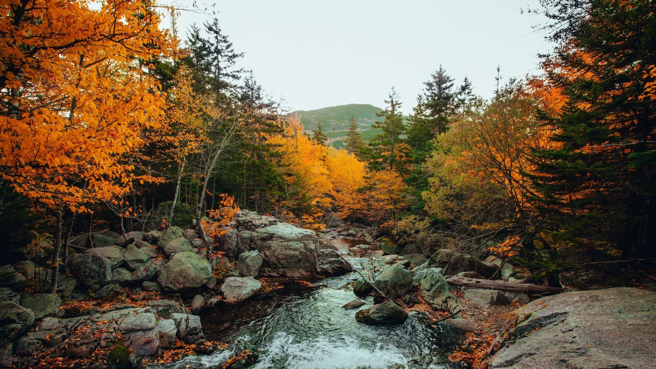 New England’s 12 Must-See Foliage Spots This Season — savor + roam