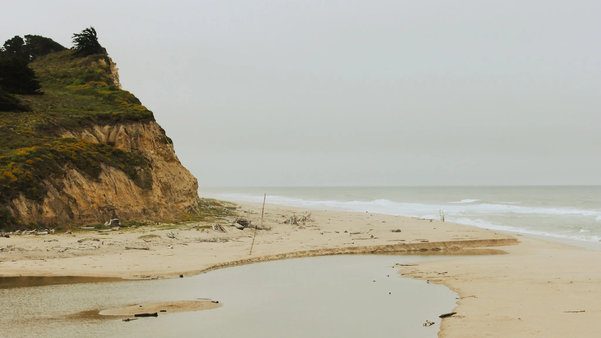 How to Spend Two Days in Monterey, California