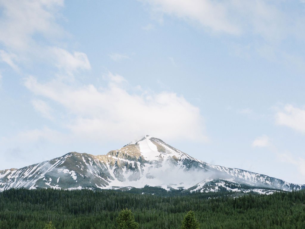 Kate + Brian — Holly Heider Chapple Flowers