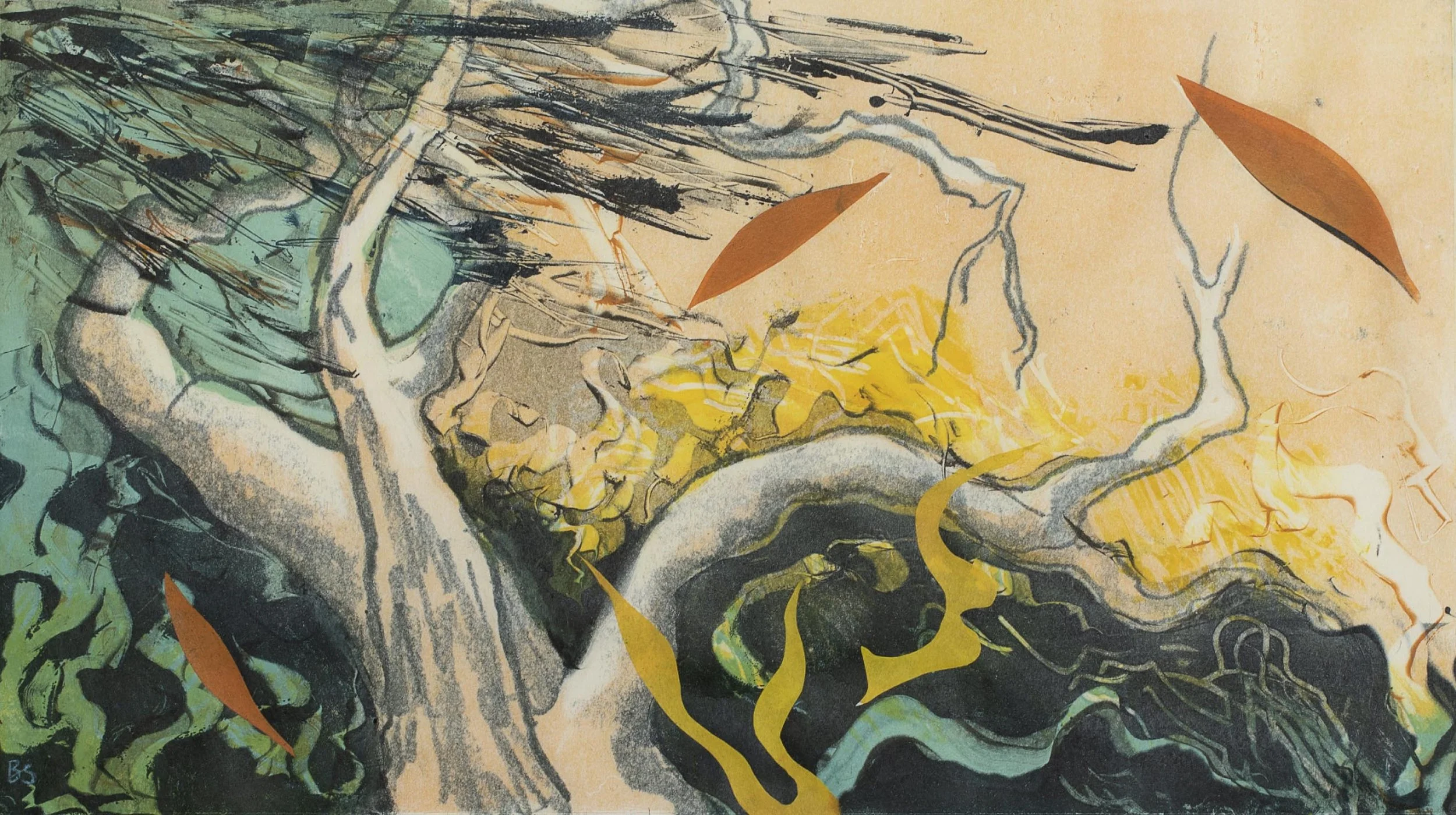 Convergence — Busselton Cultural Precinct