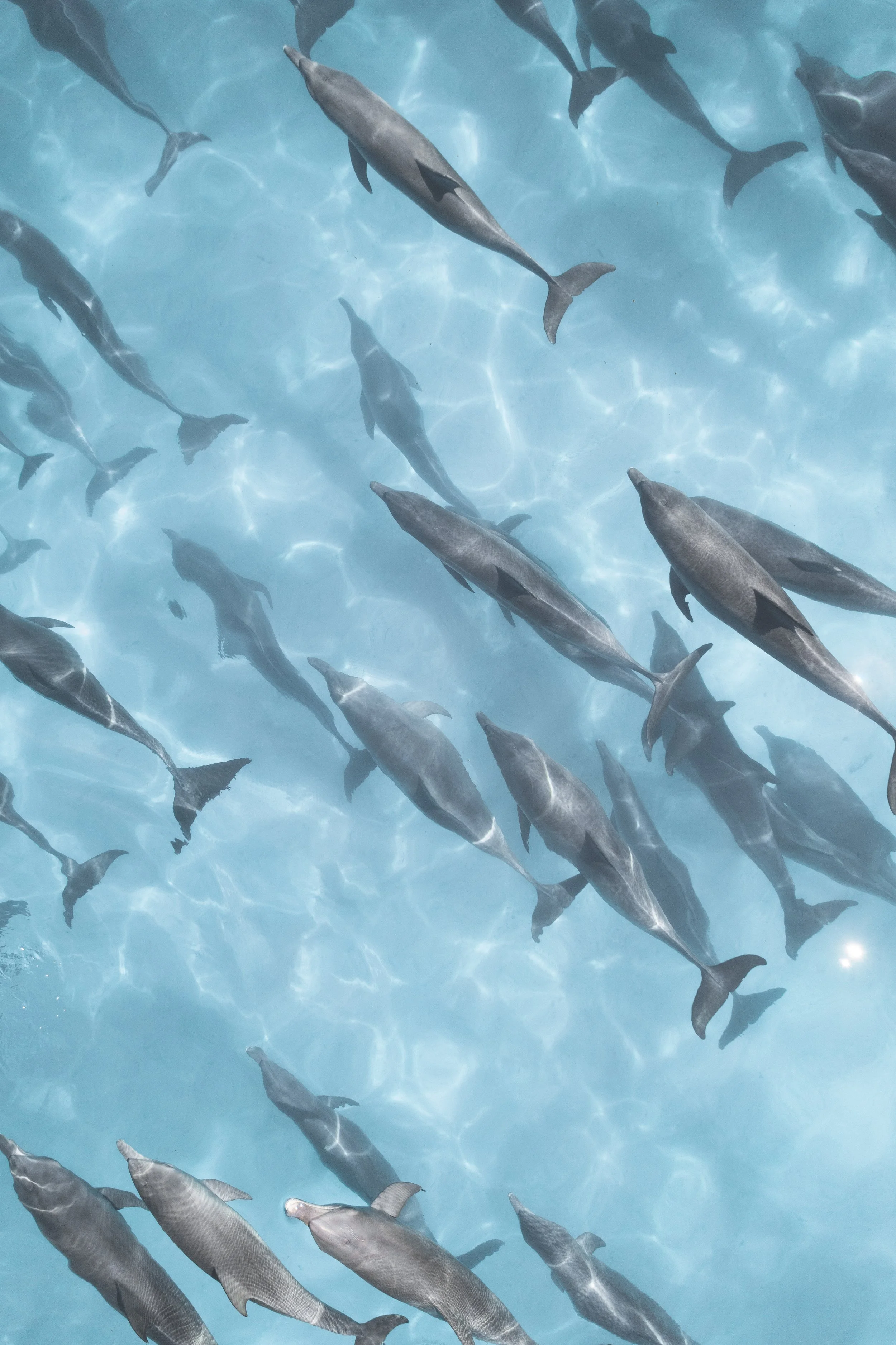 Ningaloo Reef Tour — Outbound Photo Tours
