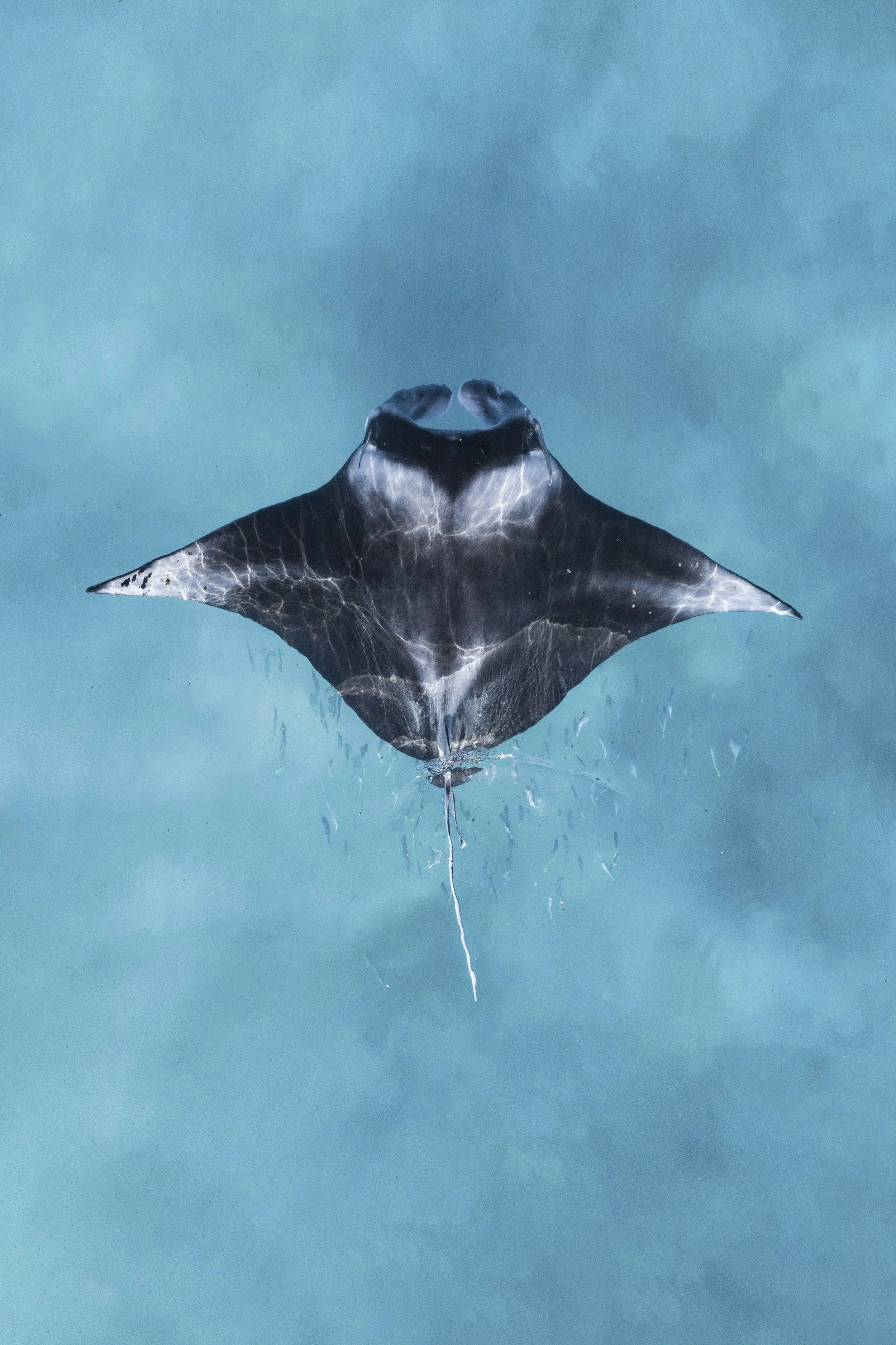 Ningaloo Reef Tour — Outbound Photo Tours