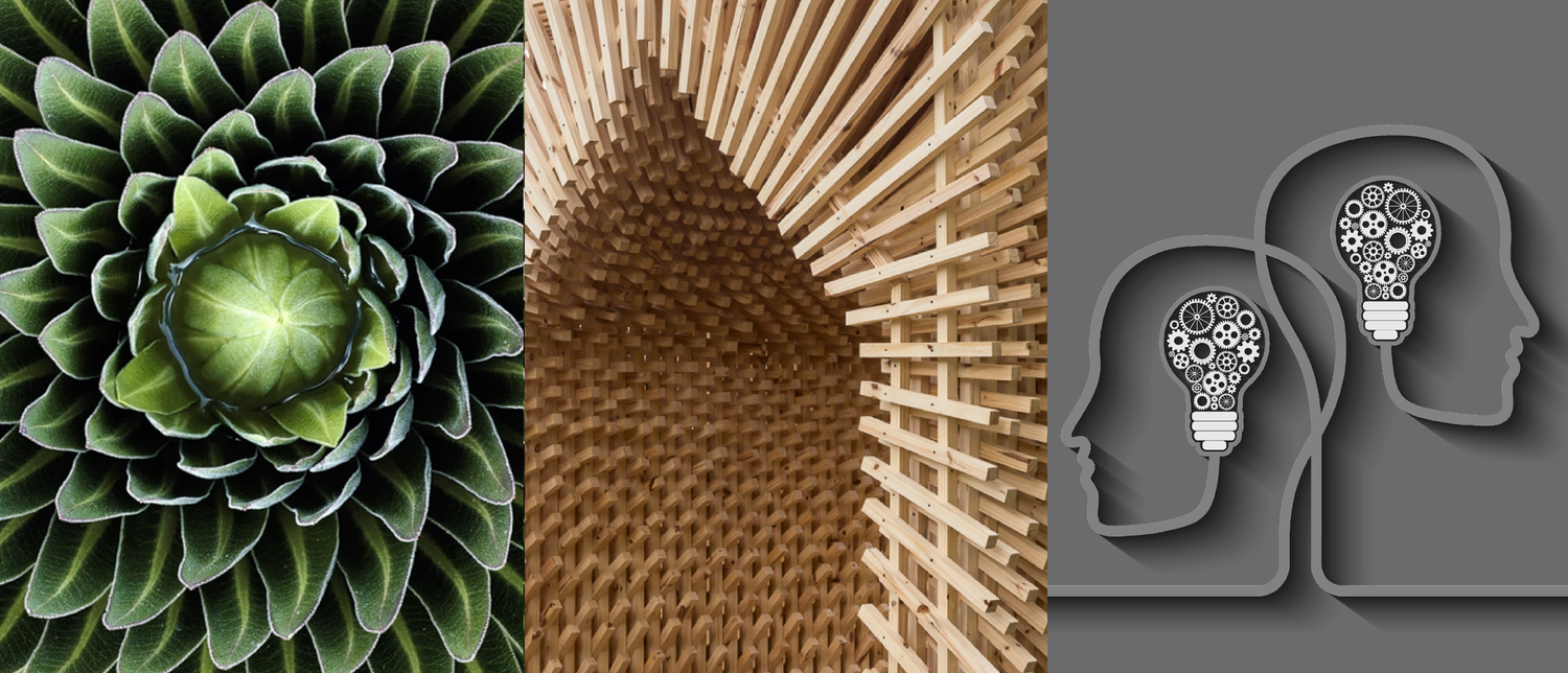 Modular Design Colab PLLC