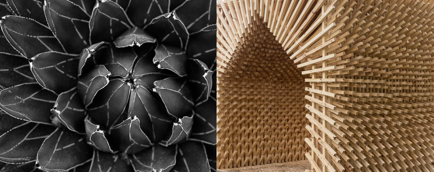 Modular Design Colab PLLC