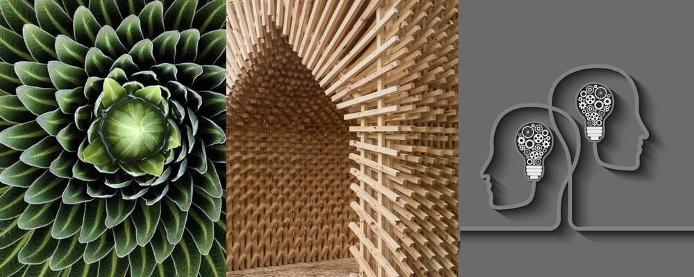 Modular Design Colab PLLC