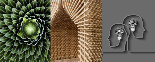 Modular Design Colab PLLC