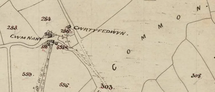 A thatched cottage in Breconshire — Brecknock Society and Museum Friends