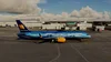 BlueBird Simulations